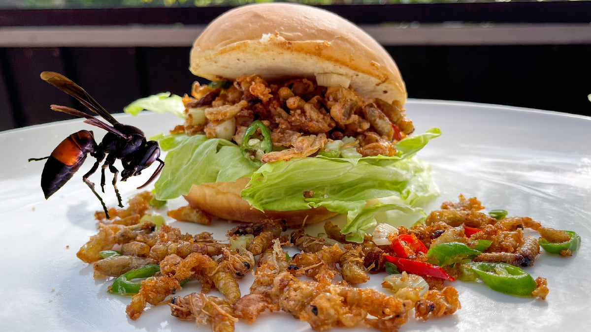 Fried Hornets BBQ Pit Boys recipe
