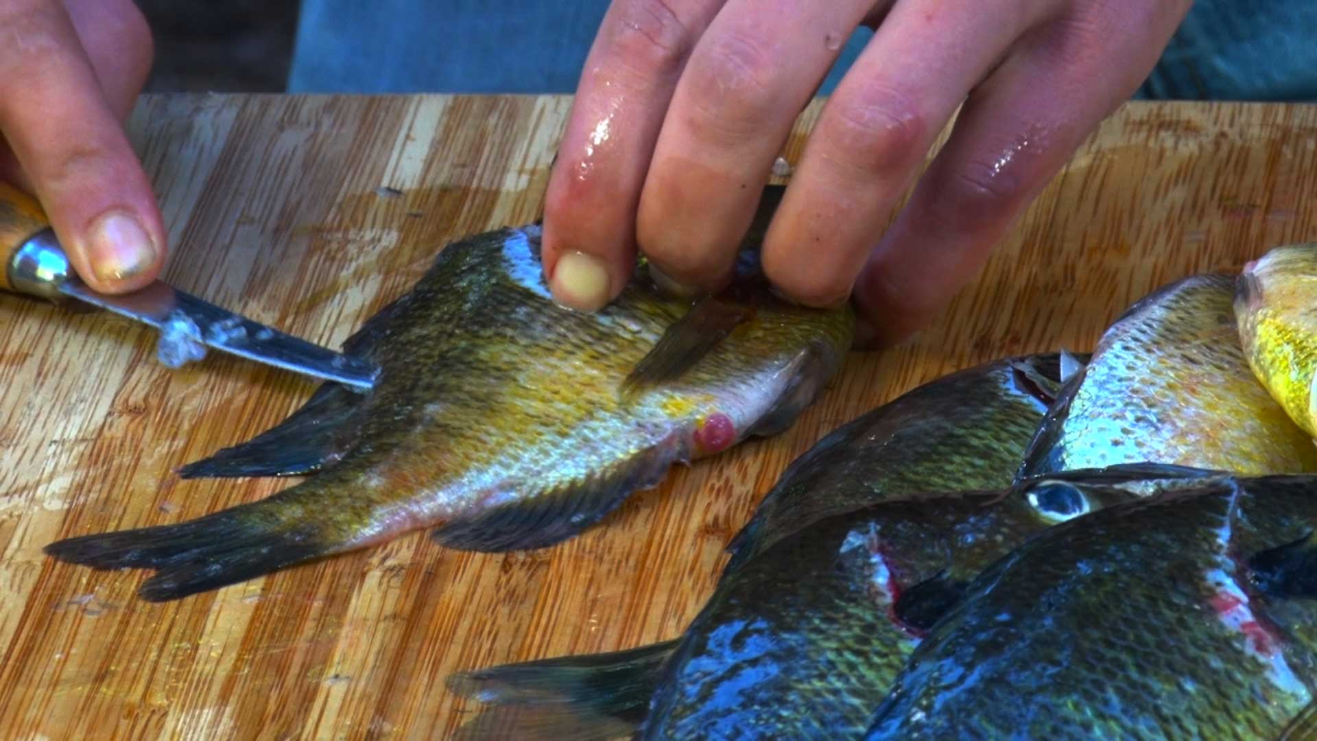 BLACK IRON PAN FISH – BBQ Pit Boys